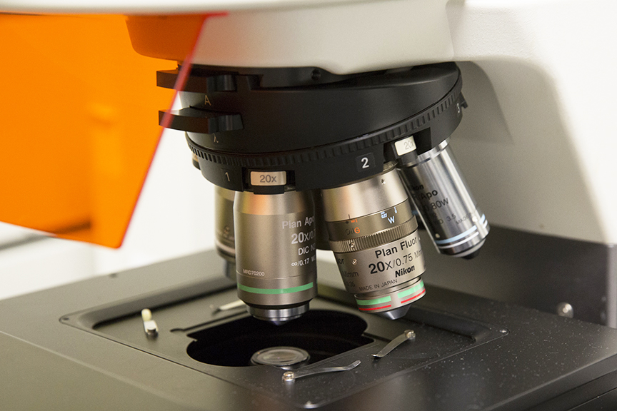 Katharina Gaus Light Microscopy Facility | UNSW Mark Wainwright Analytical Centre